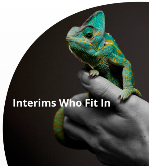 Home - Ingenious Group